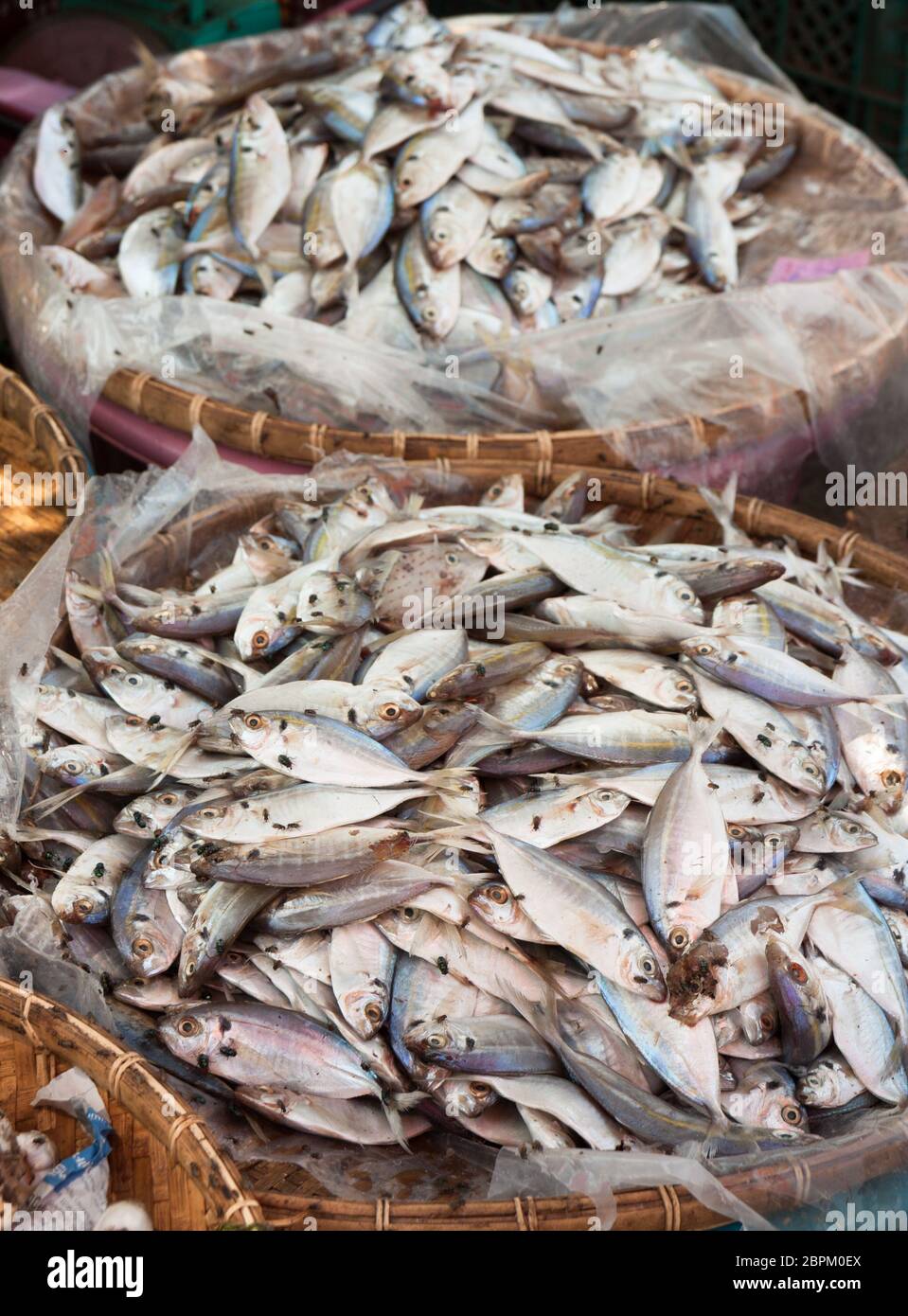 Fish in an asian street market Stock Photo - Alamy