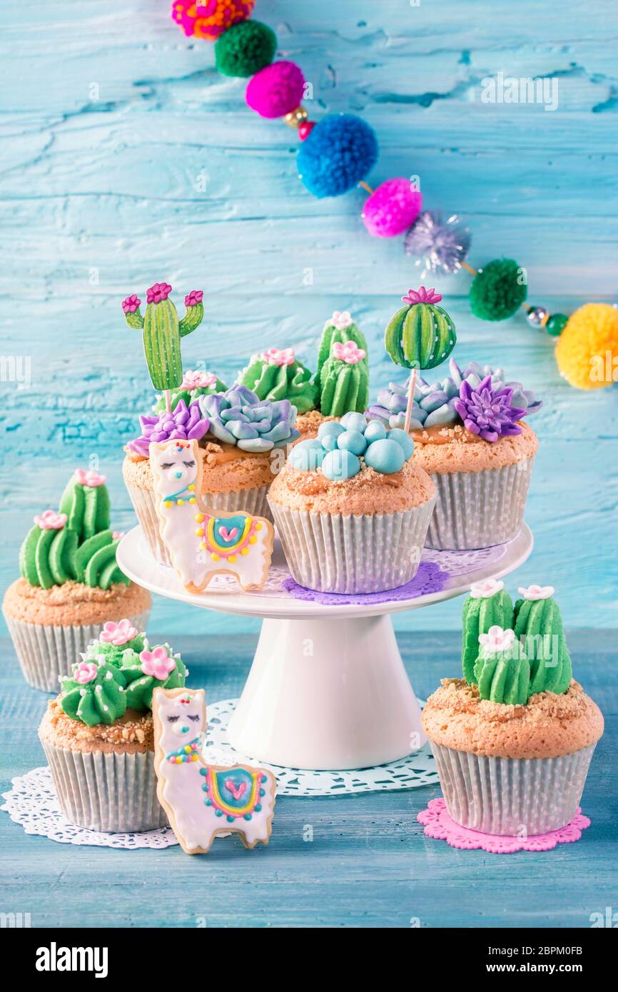 Cactus and llama sweets for children party Stock Photo - Alamy