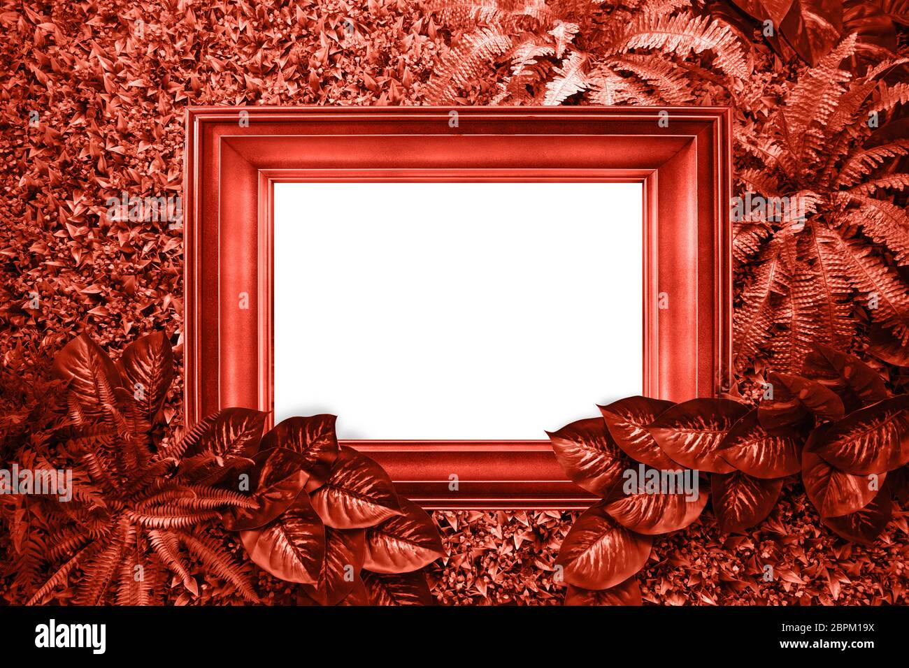Coral Color Background Design