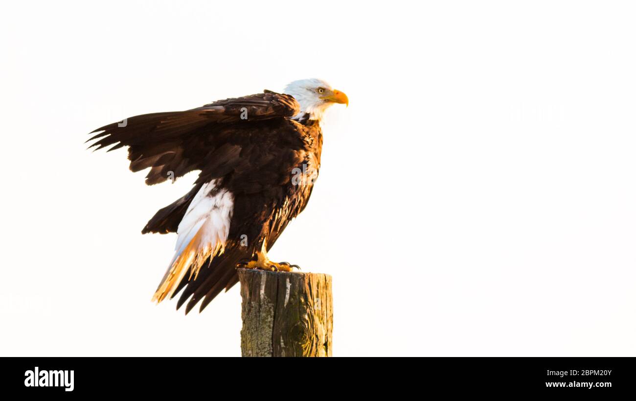 Facing into light hi-res stock photography and images - Alamy