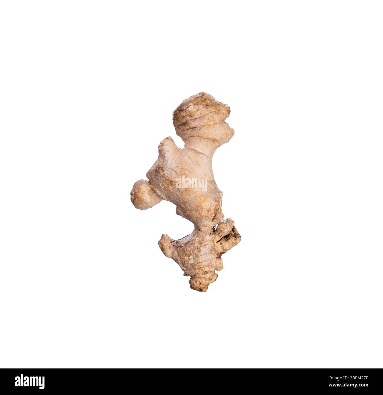 Brown ginger root on a white isolate background. Vegetarian natural ...