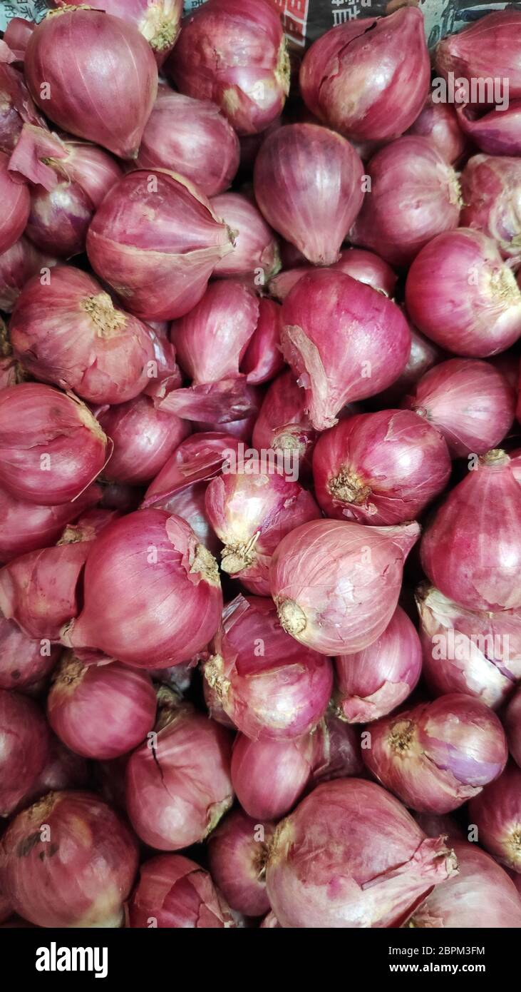 Fresh organic red shallot on market Stock Photo - Alamy