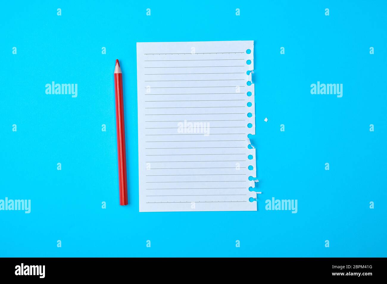empty rectangular white sheet torn out of notepad and wooden red pencil ...