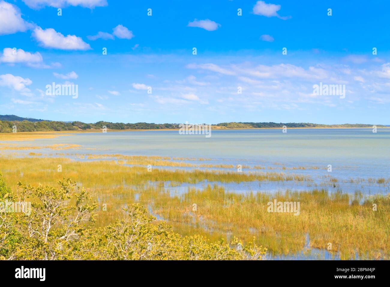 Isimangaliso Wetland Park landscape, South Africa. Beautiful panorama ...