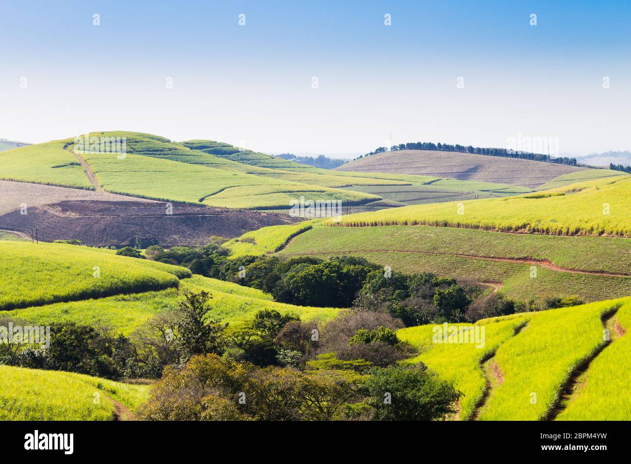 Valley of a Thousand hills landscape. Green hills panorama. South ...