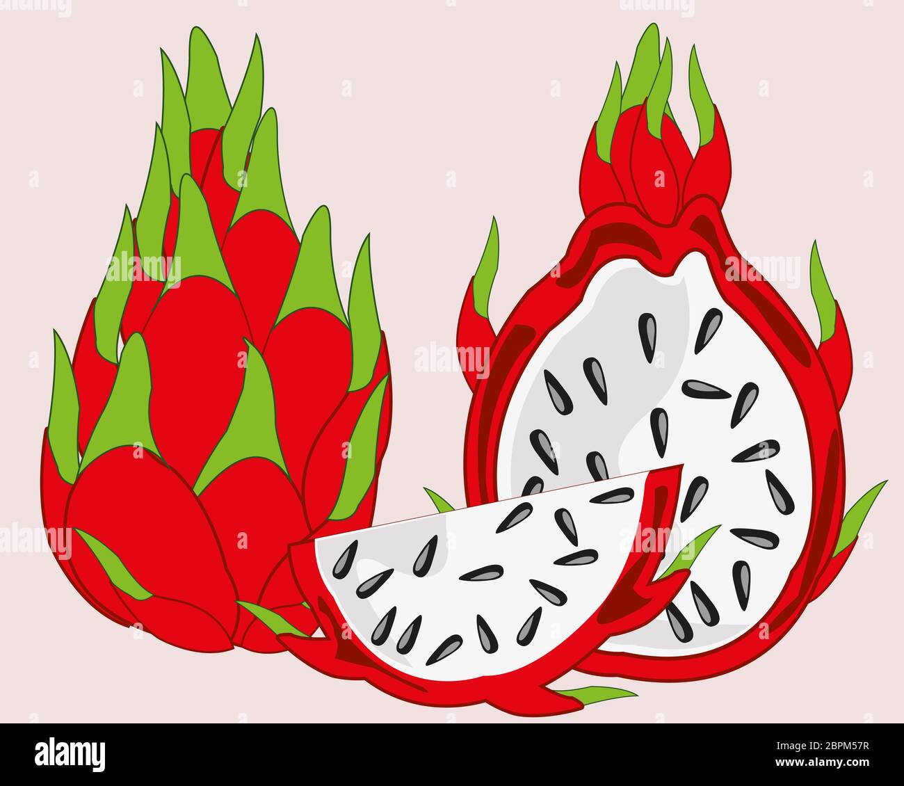 Vector illustration of the exotic fruit pitaya on white background ...