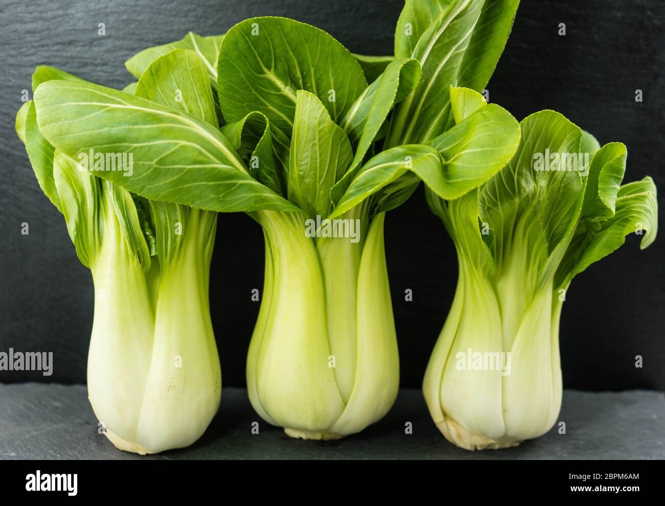 The green chinese cabbage pak choi Stock Photo - Alamy
