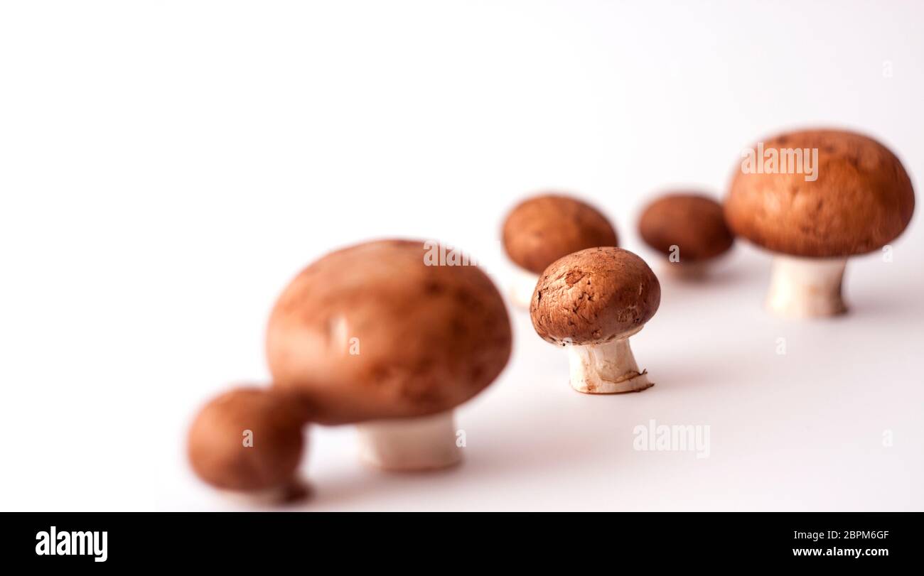 One mushroom stands out among others isolated on white background Stock ...