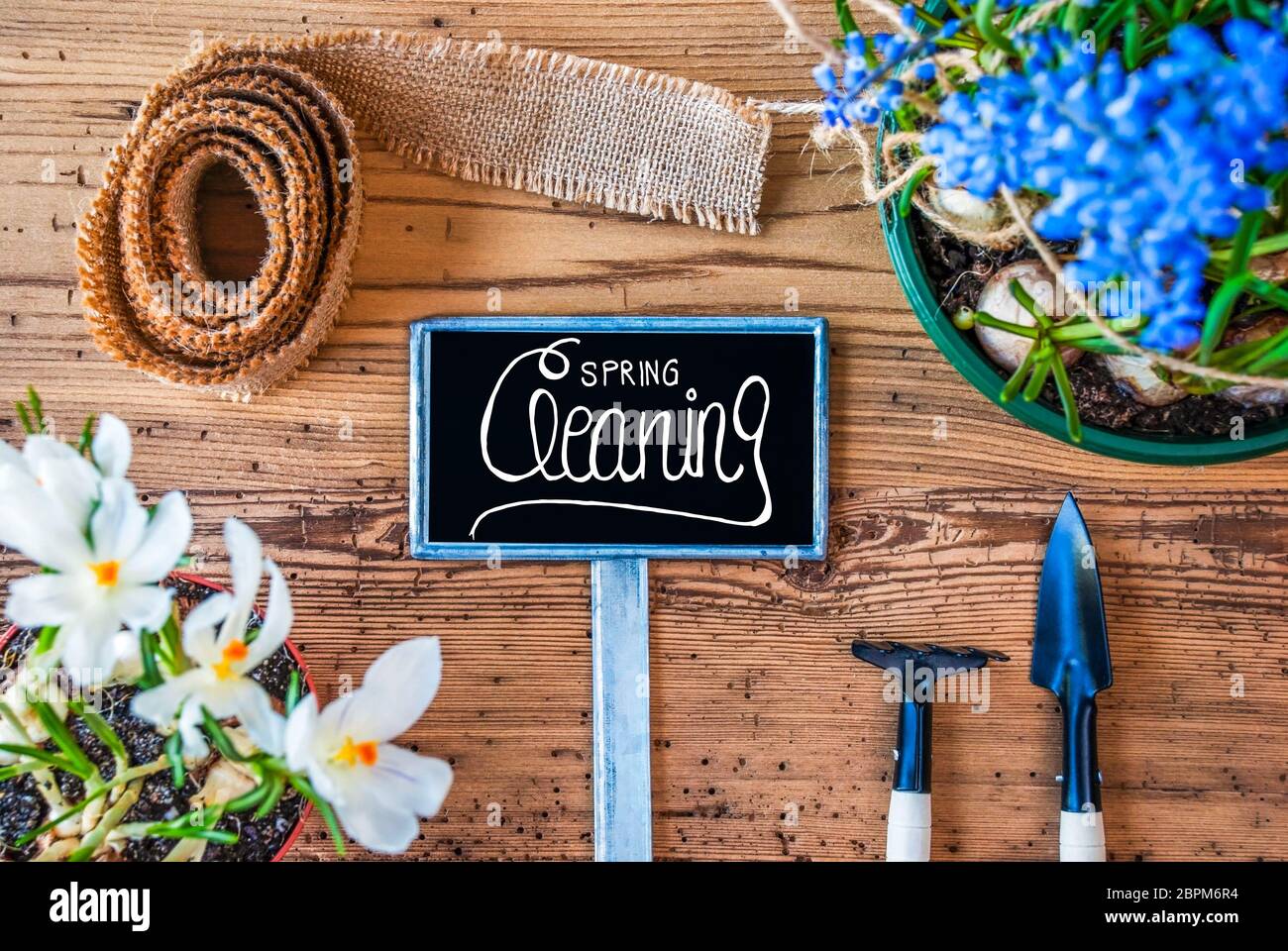 Sign With Egnlish Calligraphy Spring Cleaning. Spring Flowers Like ...