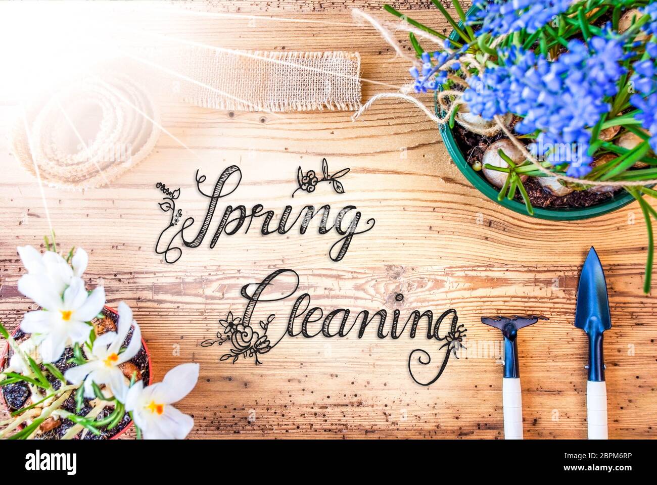 English Calligraphy Spring Cleaning. Sunny Spring Flowers Like Grape ...