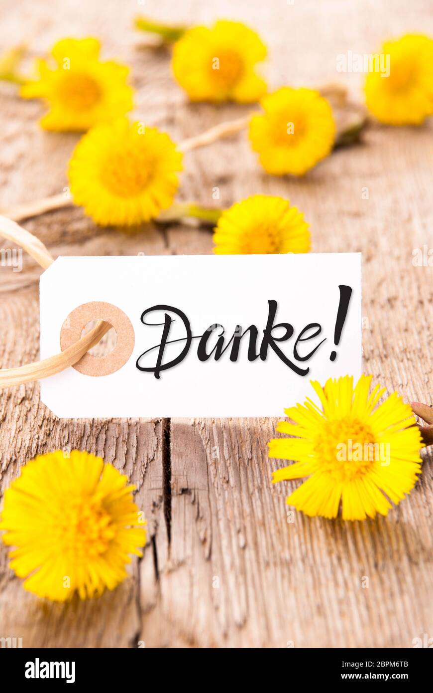 Label With German Calligraphy Danke Means Thank You. Dandelion Blossom ...