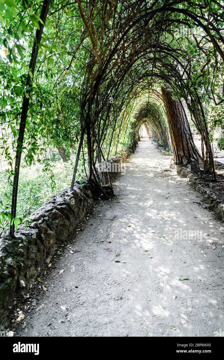 Shades alley in a park in Barcelona, Spain Stock Photo - Alamy