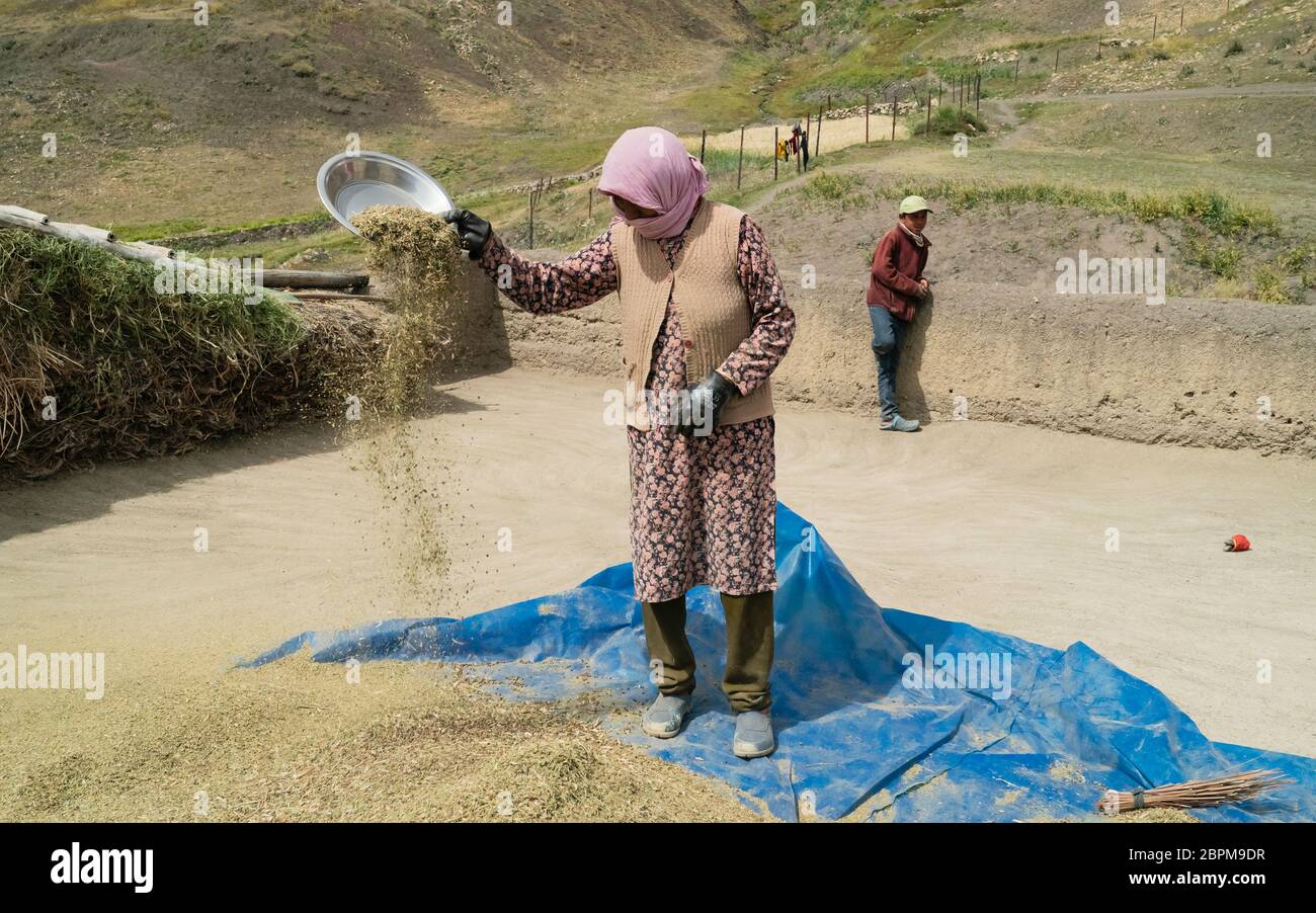 Traditional winnowing hi-res stock photography and images - Alamy