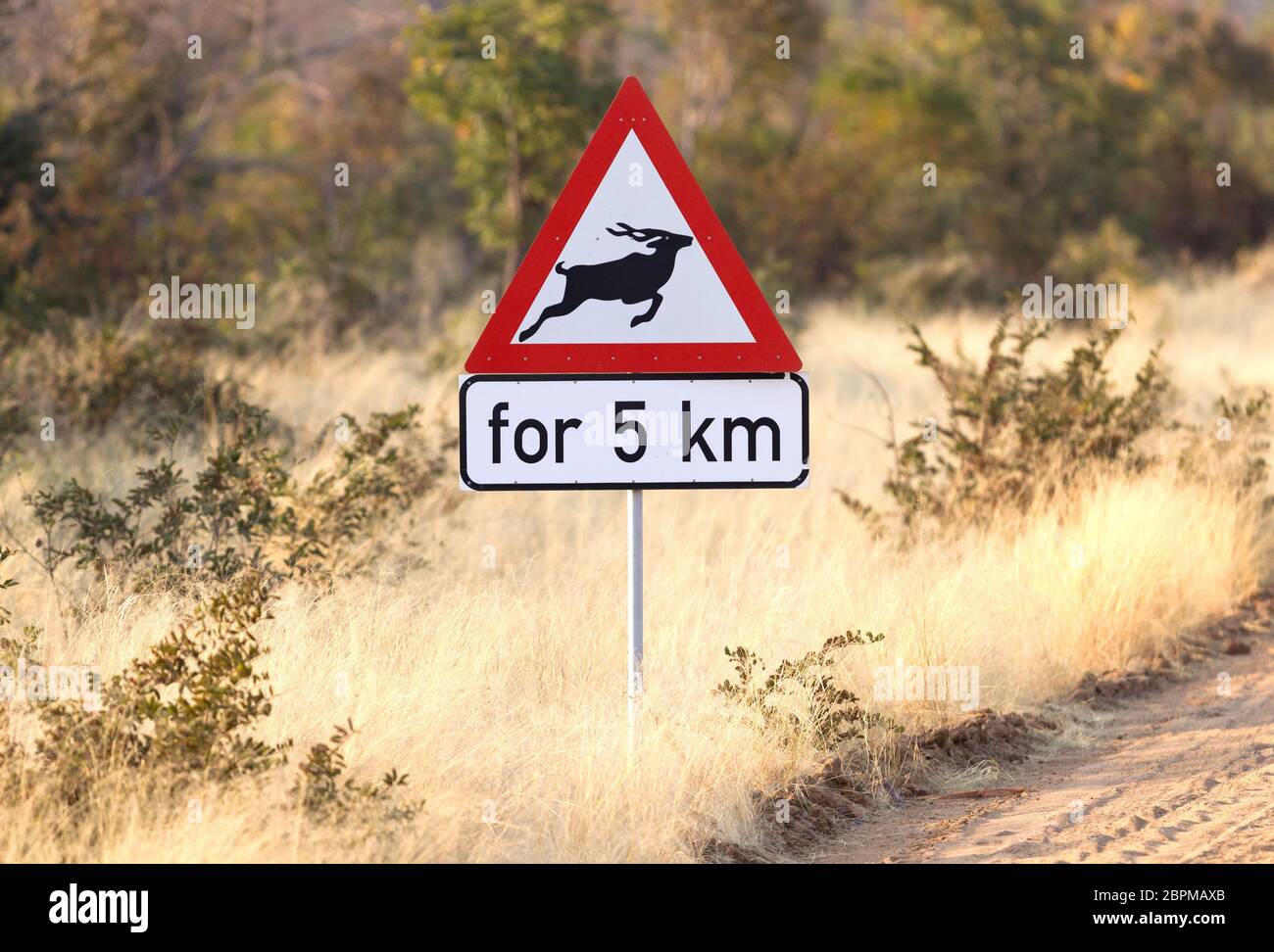 Traffic Sign: Caution Springbok crossing road, next 5KM Stock Photo - Alamy