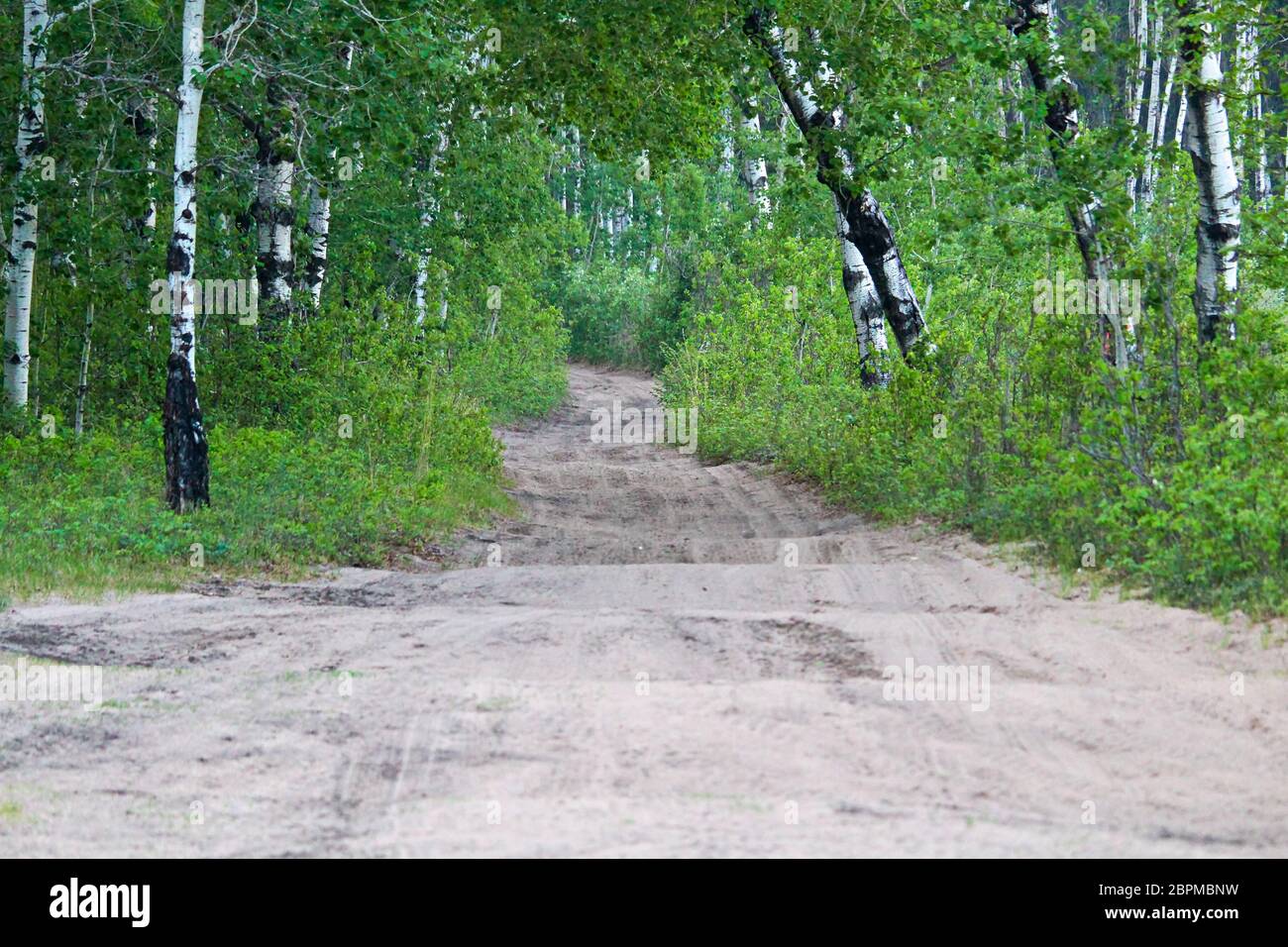 Bumpy Trail High Resolution Stock Photography and Images - Alamy