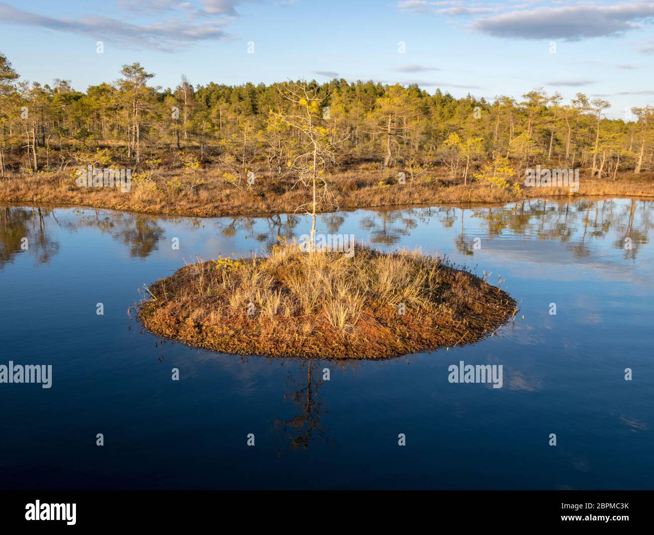 Nice landscape with evening and sunset over the bog lake, crystal clear ...