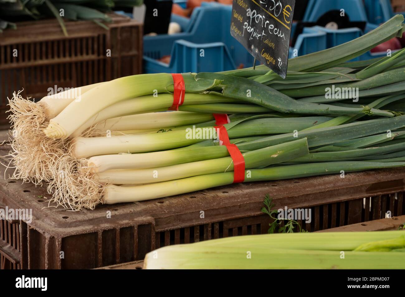 Bunch of the fresh organic leek on the market Stock Photo - Alamy
