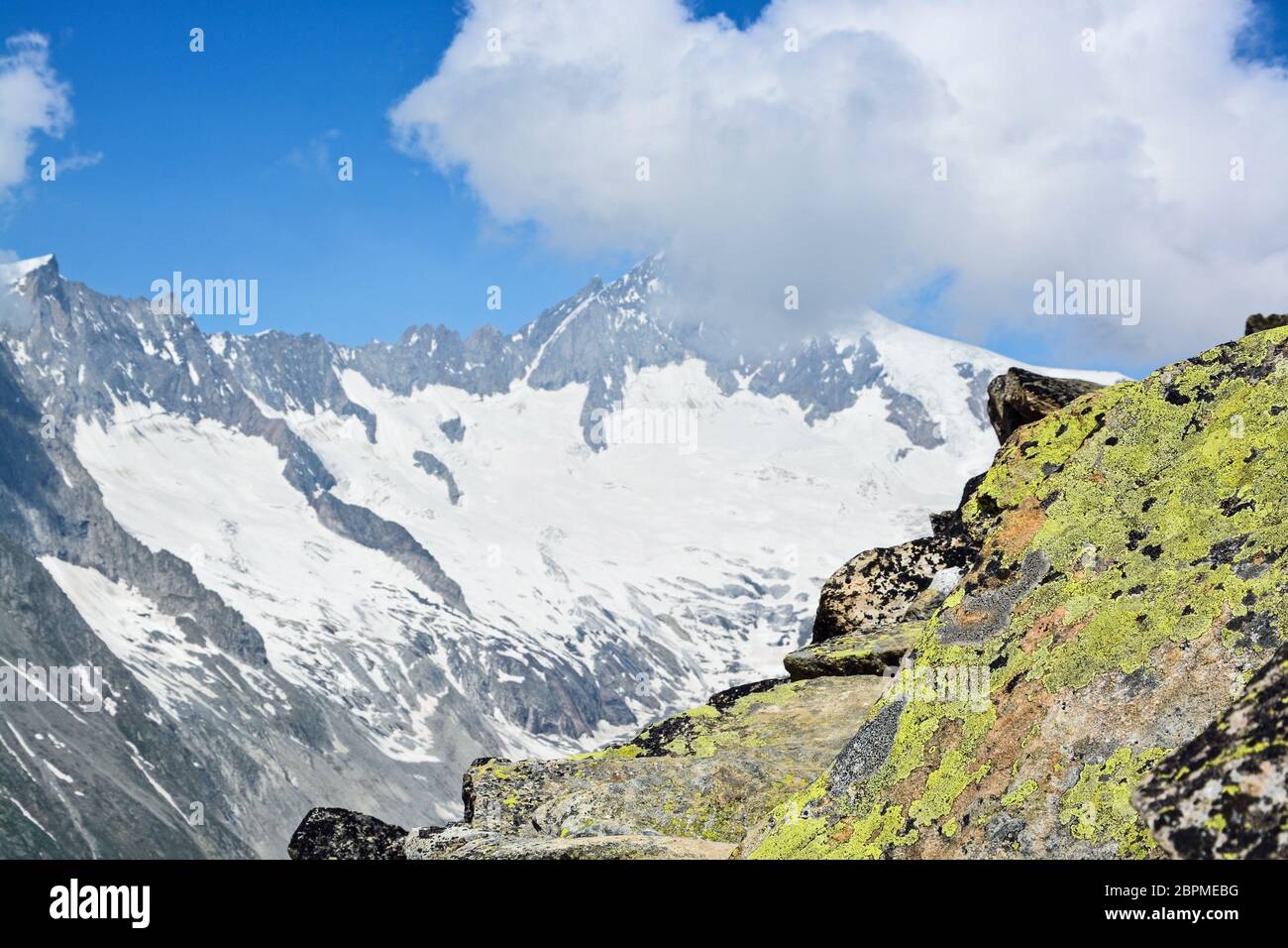 The Aletsch Glacier is the largest glacier in the eastern Bernese Alps ...