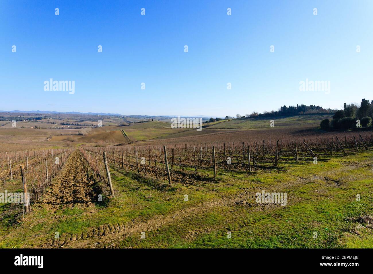 Rows of vineyards from Tuscany hills. Italian agriculture. Beautiful ...