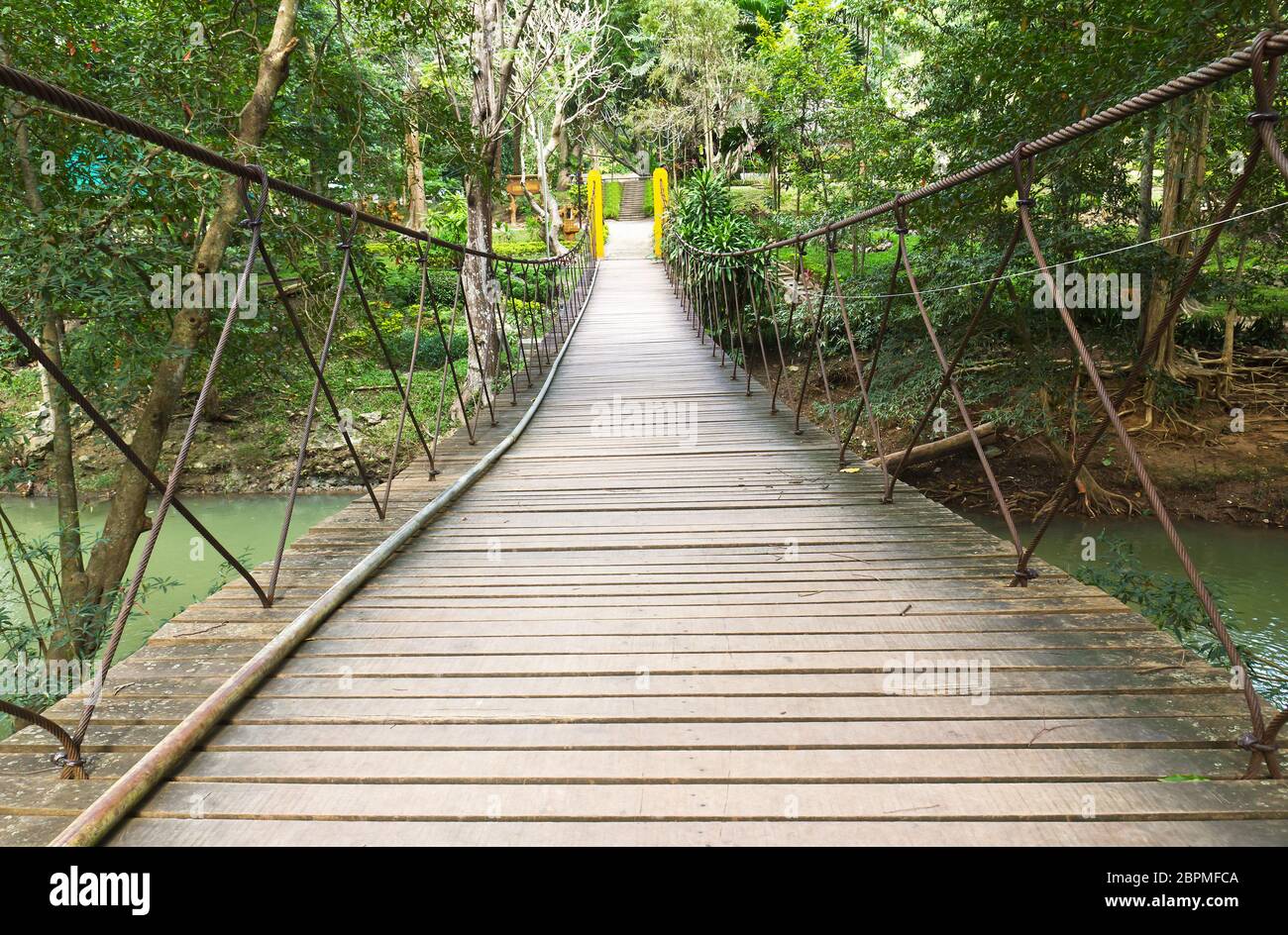 Rope walkway through the treetops in a rain forest Stock Photo - Alamy