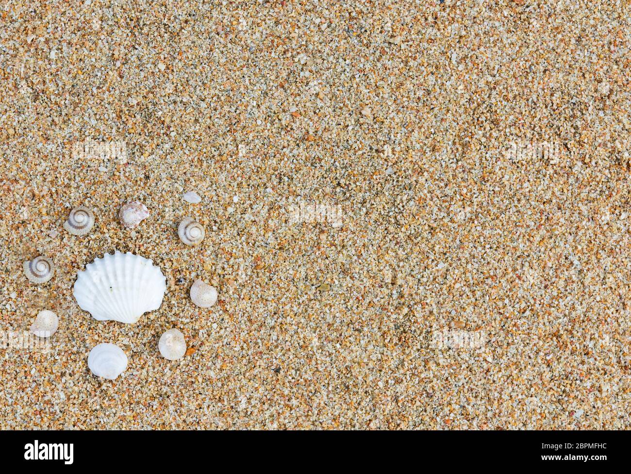 Ring of sea shells in the sand Stock Photo - Alamy