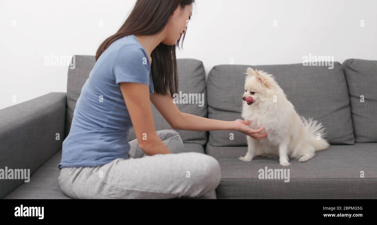 Woman training her dog Stock Photo - Alamy
