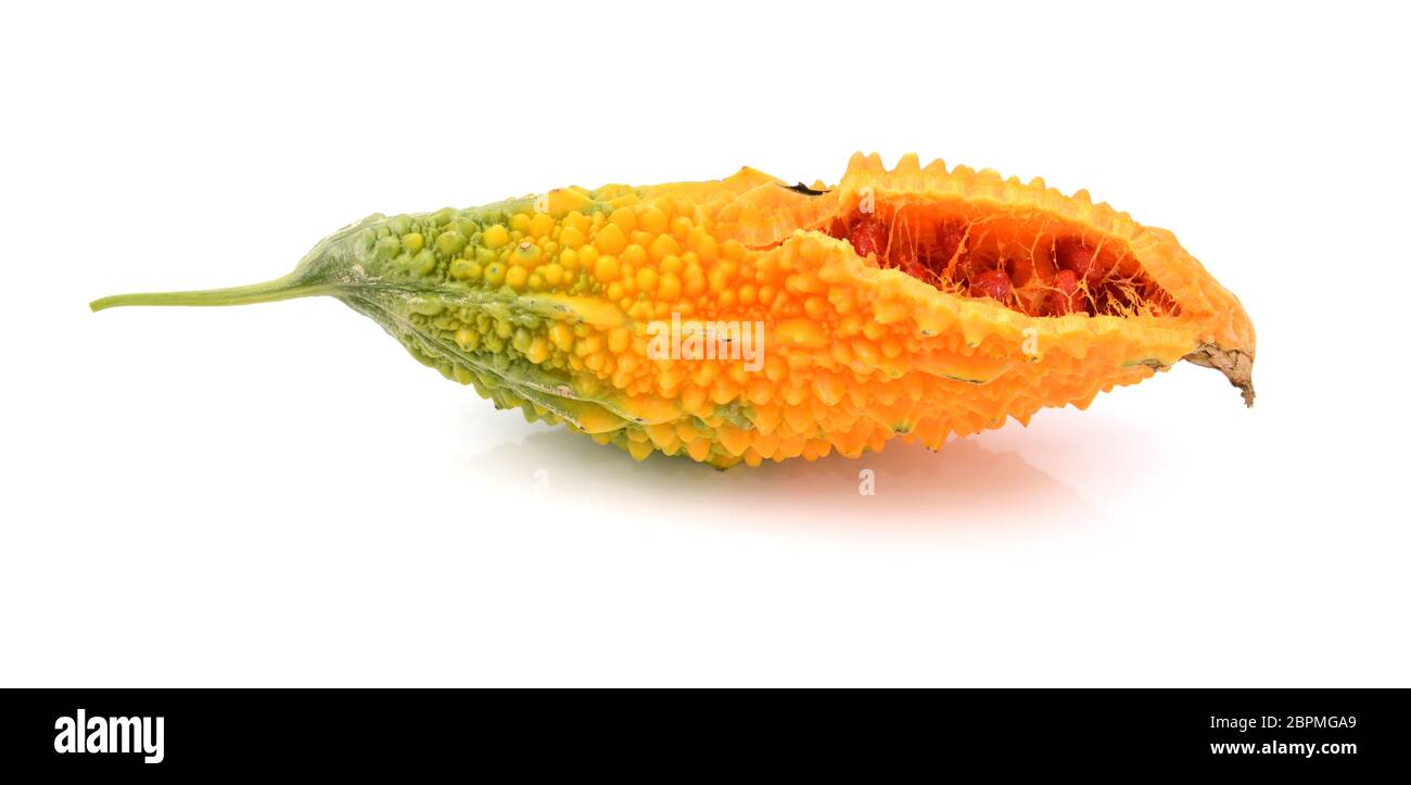 Overripe bitter gourd, with orange warty flesh, splitting open to ...