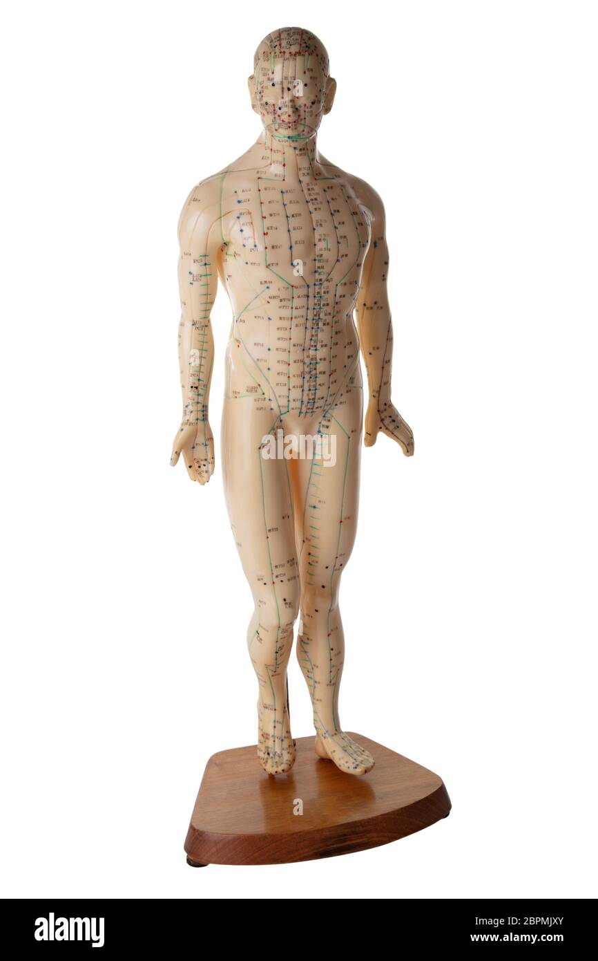 Acupuncture Model isolated on white background Stock Photo - Alamy