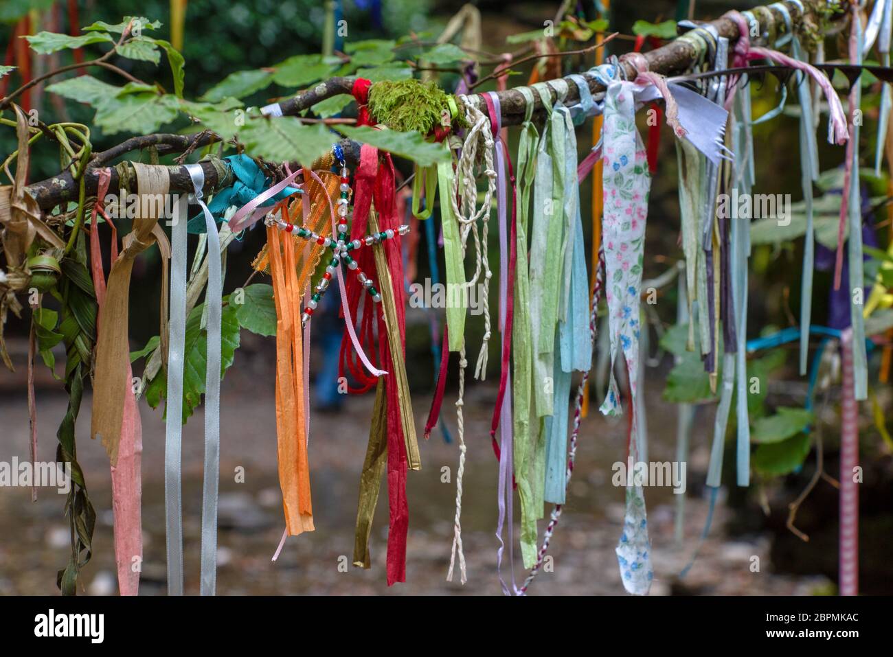 Clootie Tree at St Nectans Glenn near Tintagel in north Cornwall ...