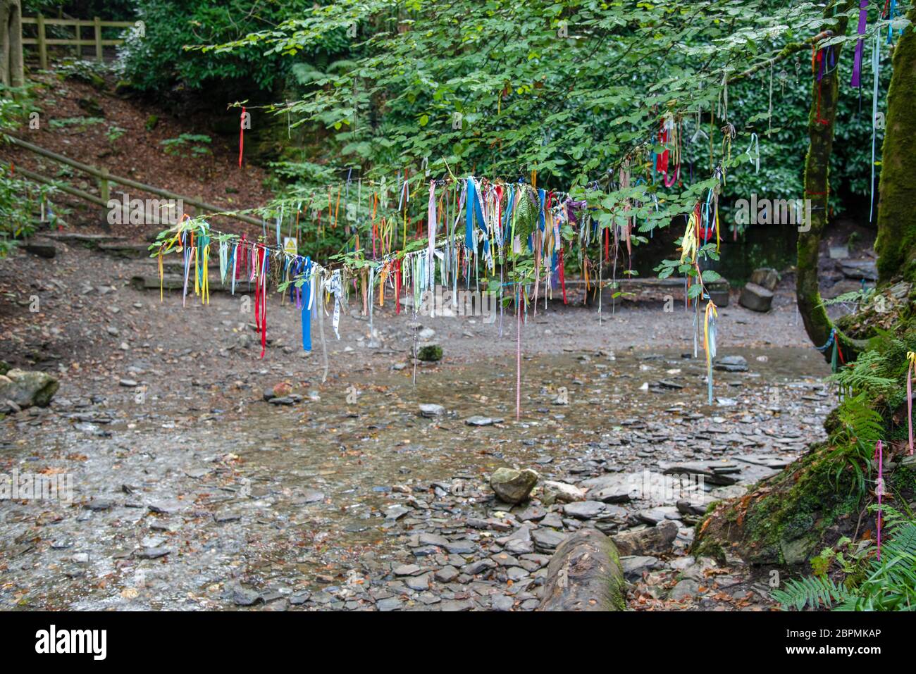 Clootie well hi-res stock photography and images - Alamy