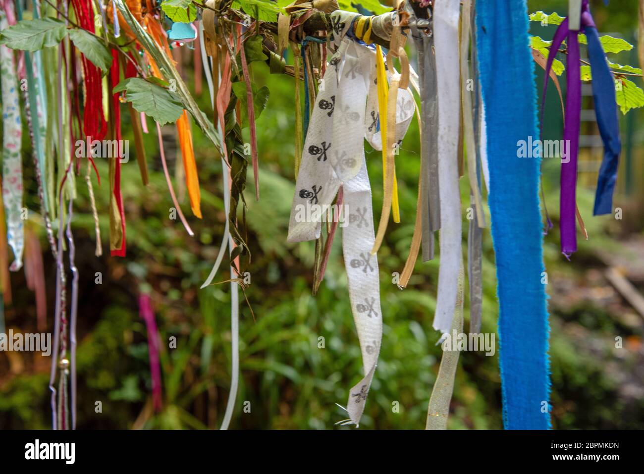 Clootie Tree at St Nectans Glenn near Tintagel in north Cornwall ...
