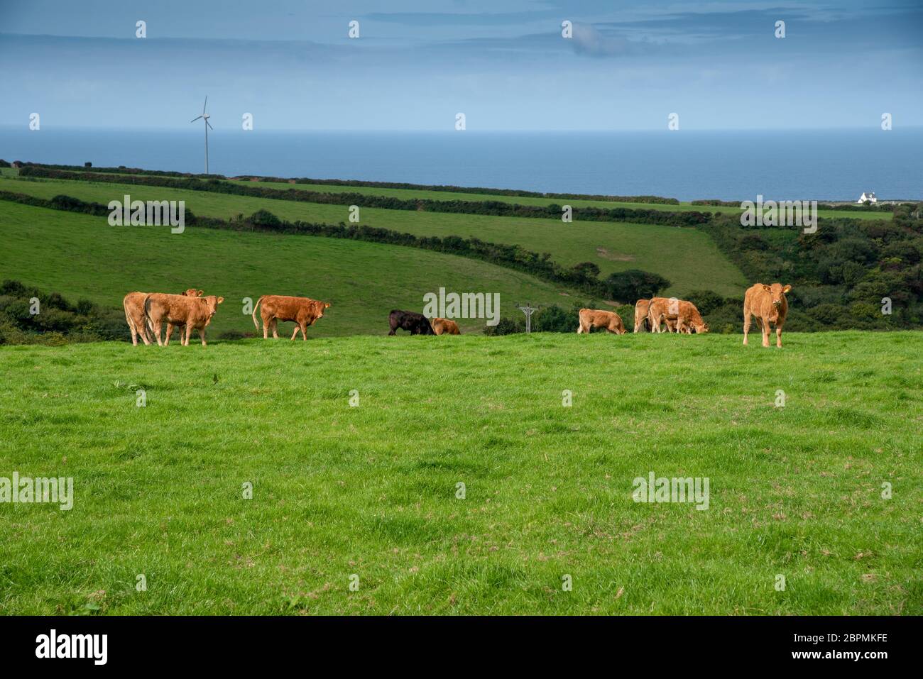 Klicken High Resolution Stock Photography and Images - Alamy