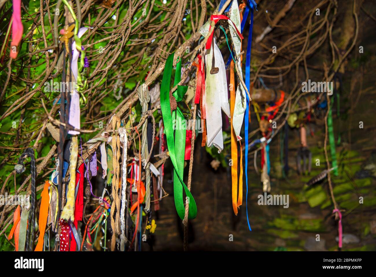 Clootie Tree at St Nectans Glenn near Tintagel in north Cornwall ...