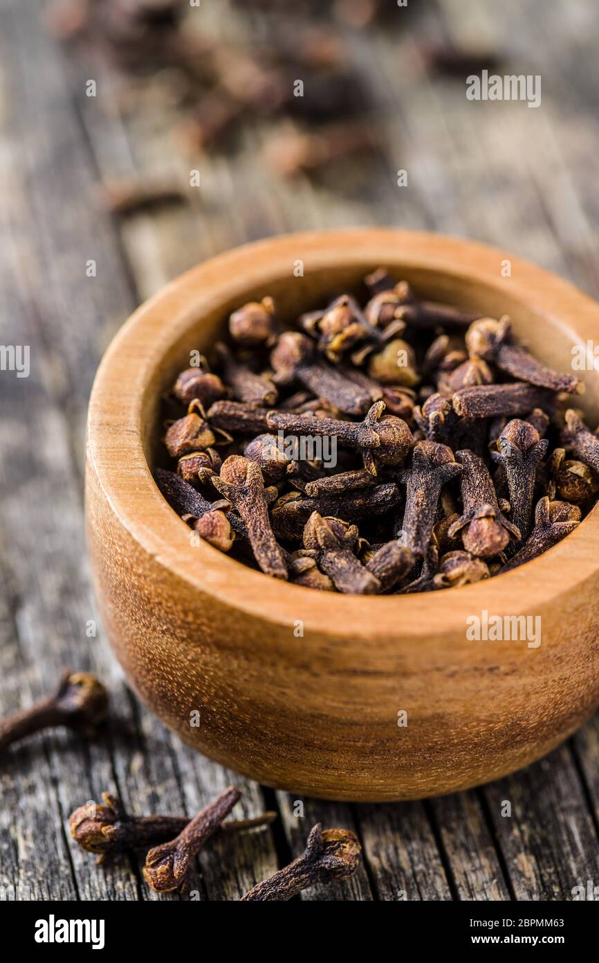 Carnation of india hi-res stock photography and images - Alamy