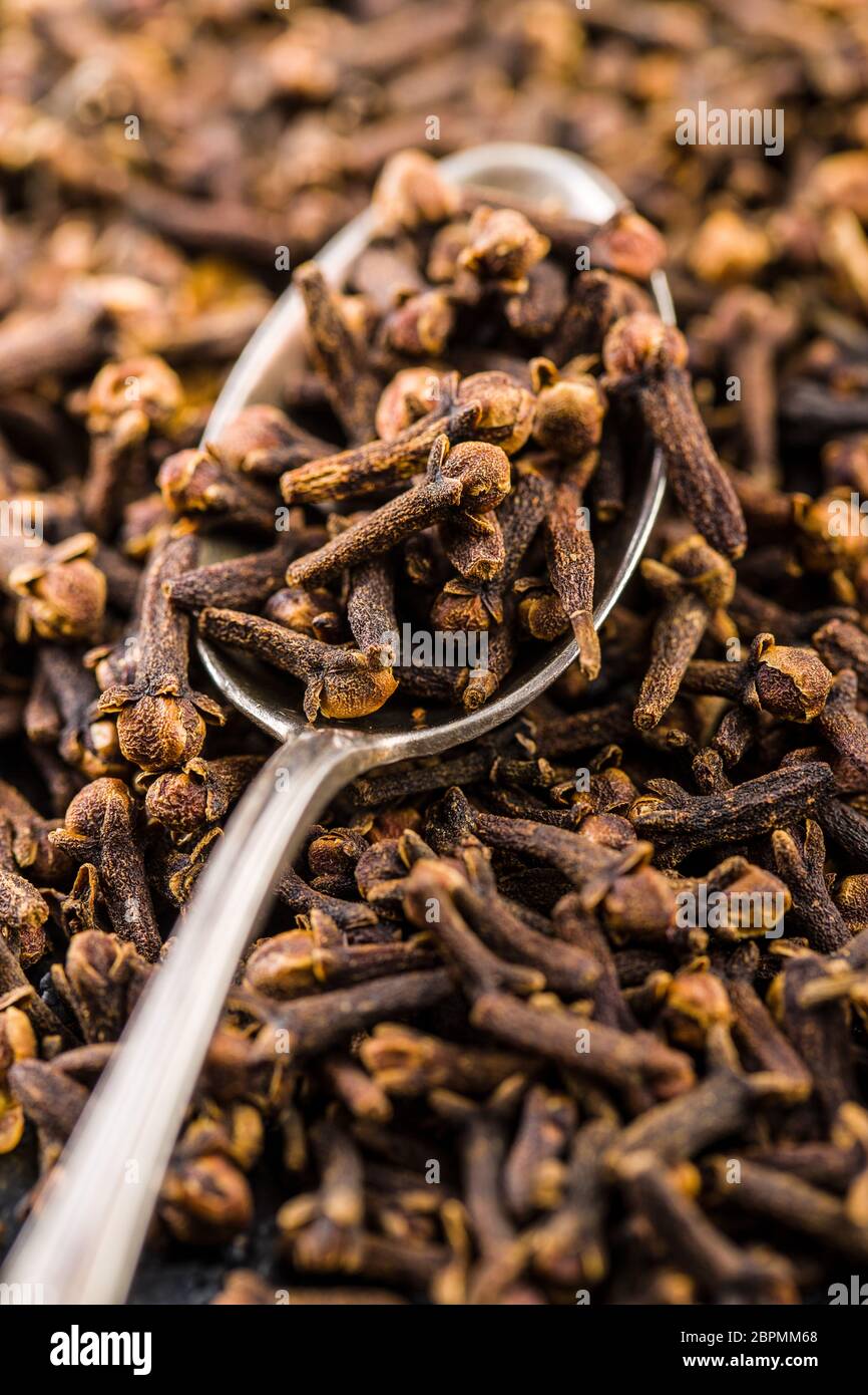 Carnation of india hi-res stock photography and images - Alamy