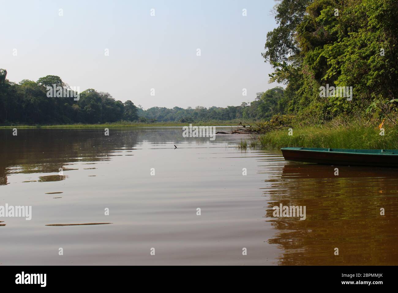 A canoe moored on a lake surrounded by grasses lining the Amazon ...