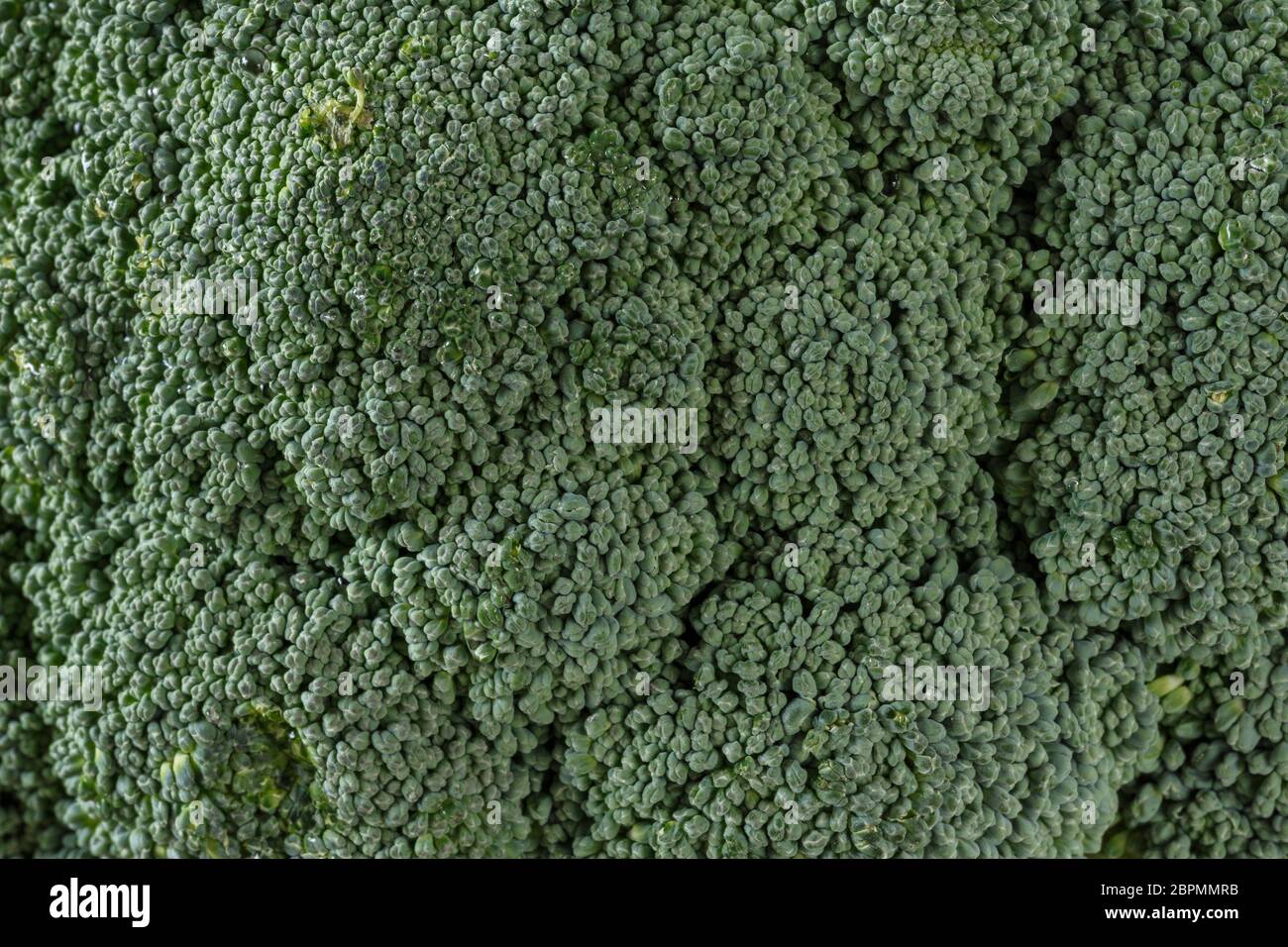 Broccoli inflorescence of fresh green close up Stock Photo - Alamy