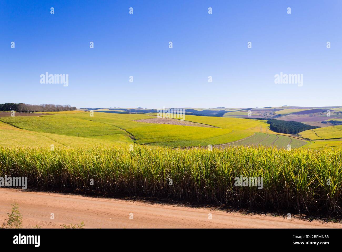Valley of a Thousand hills landscape. Green hills panorama. South ...