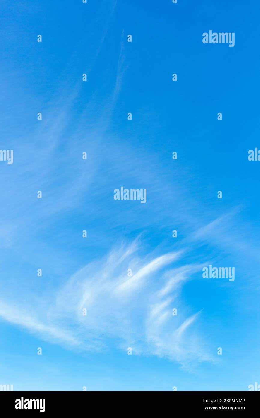 Blue sky with cirrus clouds. Thin, wispy strands of atmospheric clouds ...