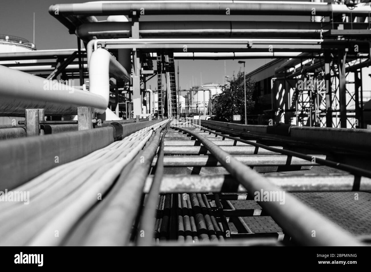 Production wiring.Electrical wiring.Electric wires.Cable wiring ...