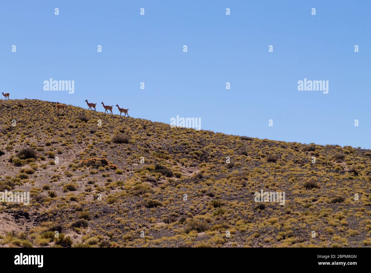Chilean mountains landscape,Chile.Andean plateau view Stock Photo - Alamy