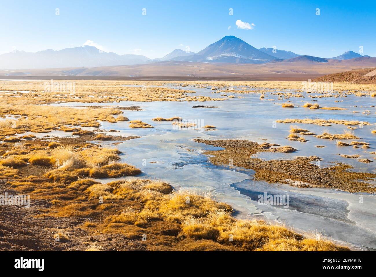 Chilean landscape, lagoon and Licancabur volcano. Chile panorama Stock ...
