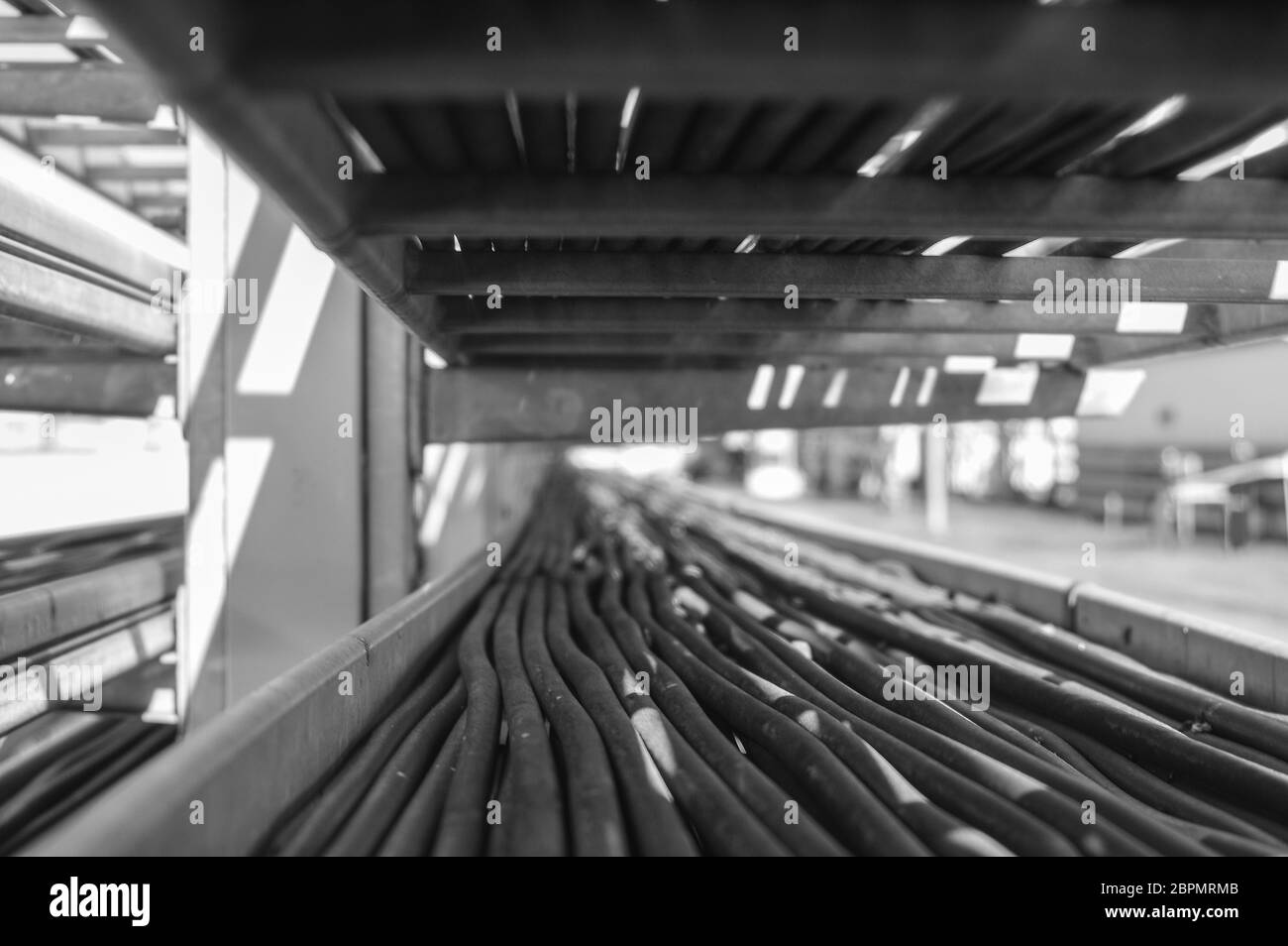 Production wiring.Electrical wiring.Electric wires.Cable wiring ...