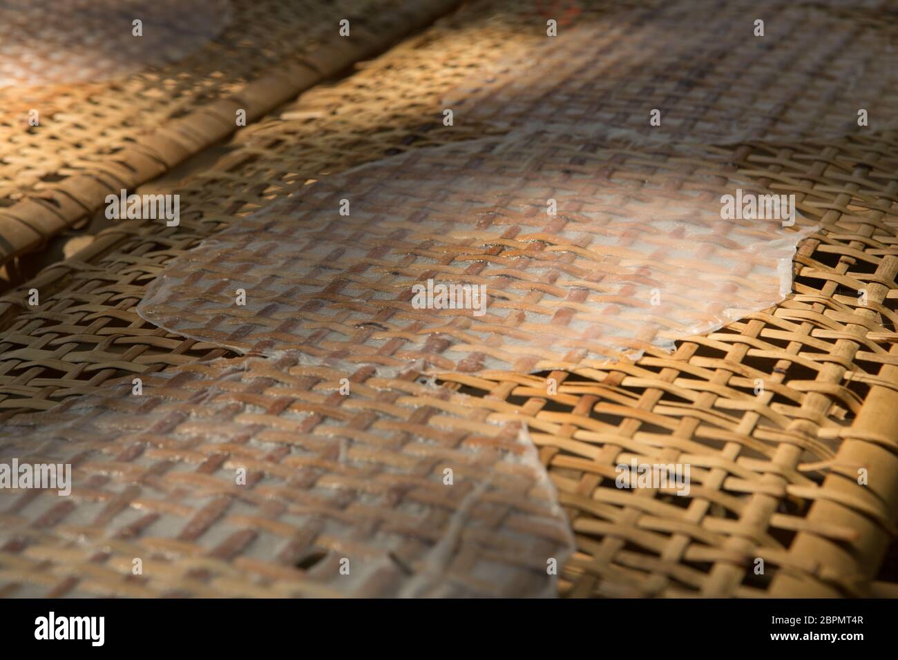 Drying Vietnamese rice paper under the sun in the Mekong Delta on a ...