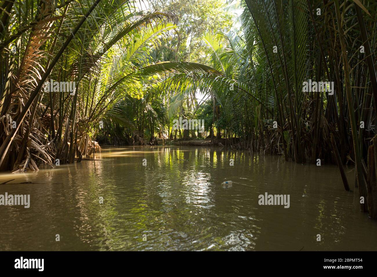 People boating in the delta of Mekong river, Vietnam, Asia Stock Photo ...