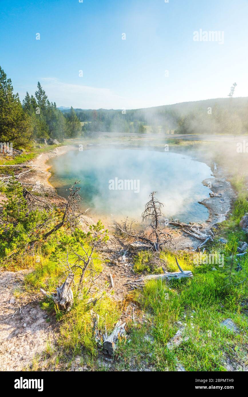 scenic view of color full Geysers in the morning ,Yellowstone National ...