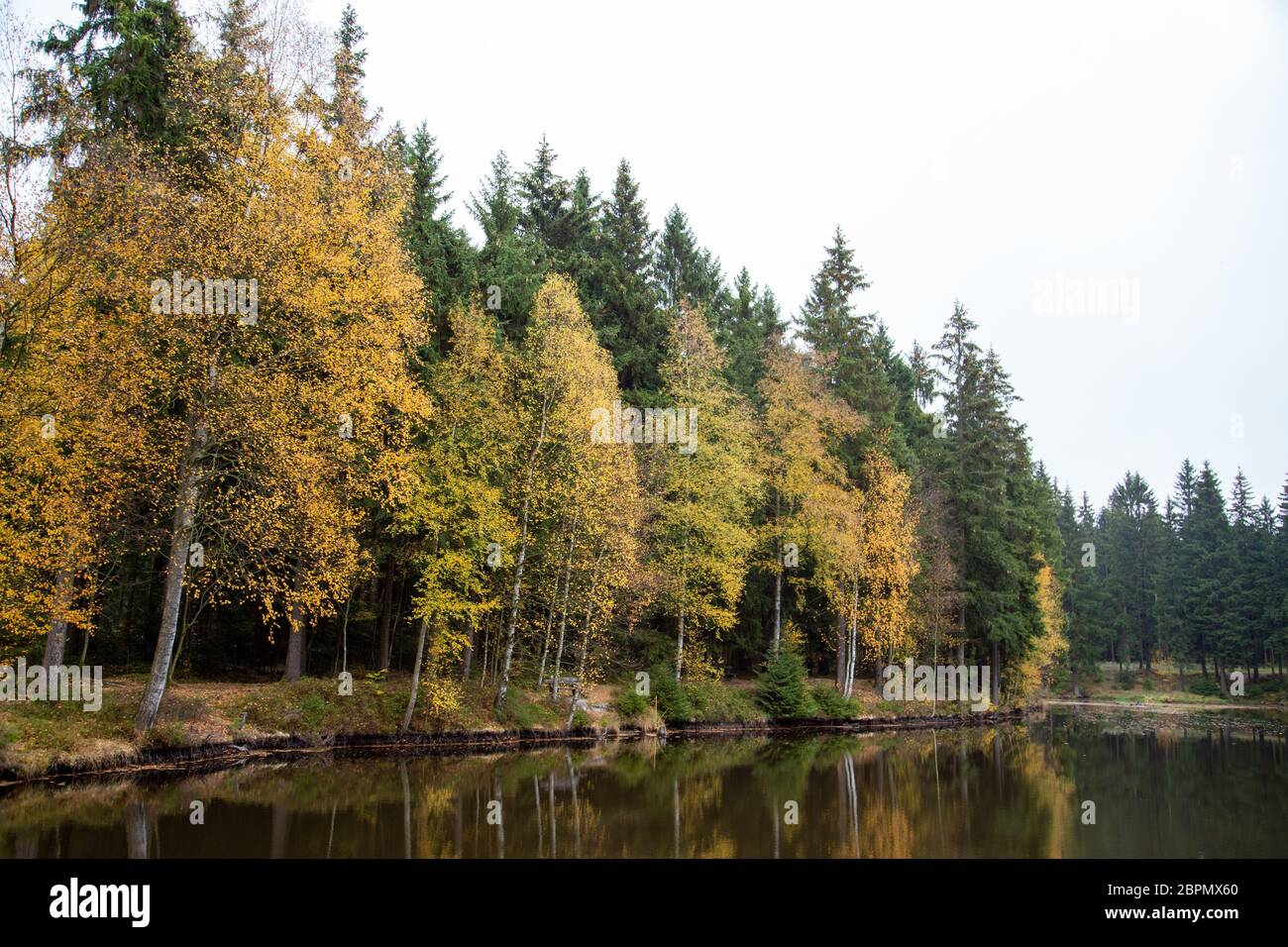 a little lake in a forest in autumn Stock Photo - Alamy