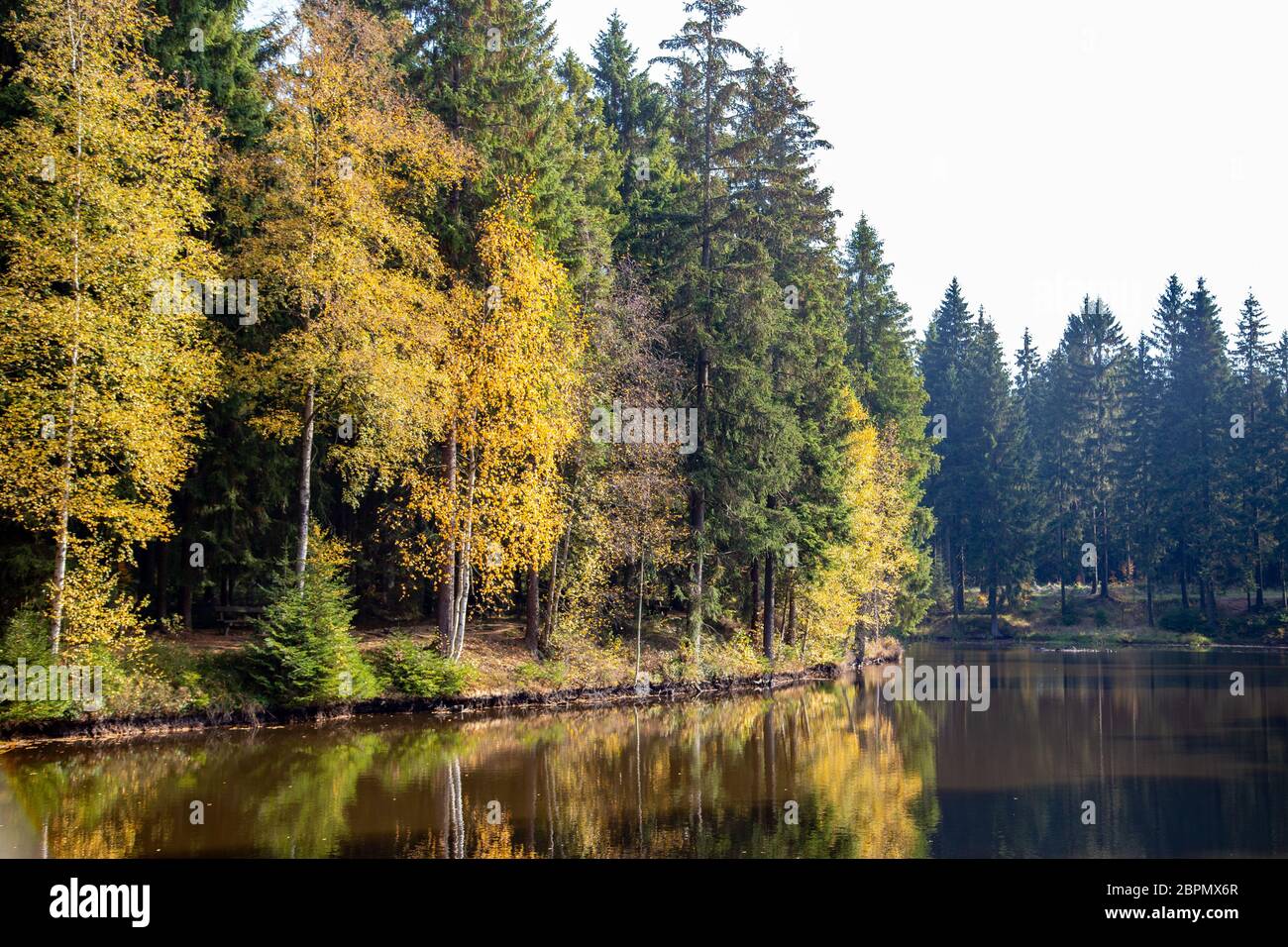 a little lake in a forest in autumn Stock Photo - Alamy