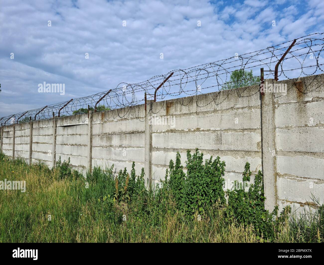 Barbed wire on concrete fence Stock Photo - Alamy