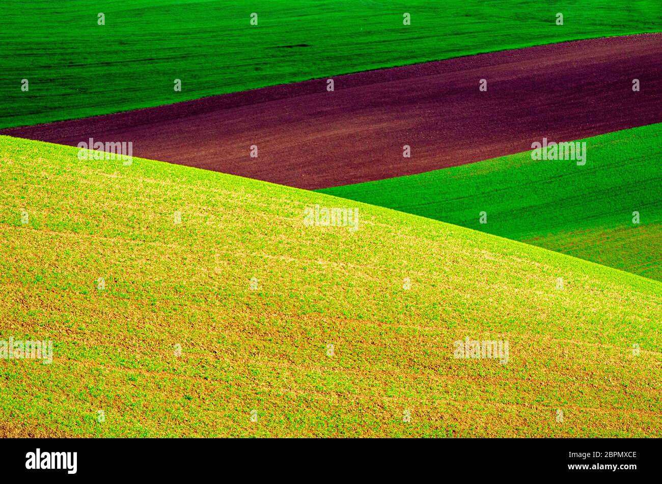 Rolling hills with fields suitable for backgrounds or wallpapers ...